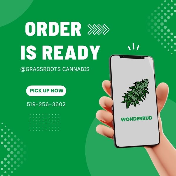 The Fastest and Most Convenient Cannabis Delivery Dispensary in ...