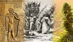 The Ancient Roots and Global Journey of Cannabis - “Grassroots Cannabis ...